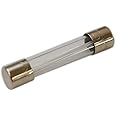 Amazon.com: 5304509451 Microwave Fuse (Replaces 5304488359) Genuine ...