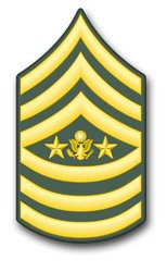 Amazon.com: U.S. Army Sergeant Major of the Army Rank Insignia vinyl ...