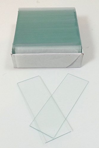Microscope Glass Slides 1 X 3 Inch (25 X 75 Mm) - 2 Boxes Of 72 Pack on ...