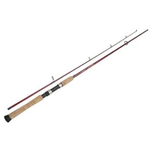 Amazon.com : Shimano Stimula 2-Piece Spin Rod : Spinning Fishing Rods ...
