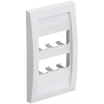 Amazon.com: Panduit CFPE6WHY 1-Gang 6-Port Faceplate, White: Electronics
