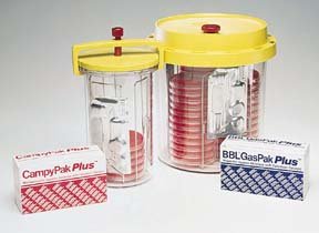 BD BBL GasPak 150 Jar Systems, Gaspak 150 Anaerobic System: Science Lab ...