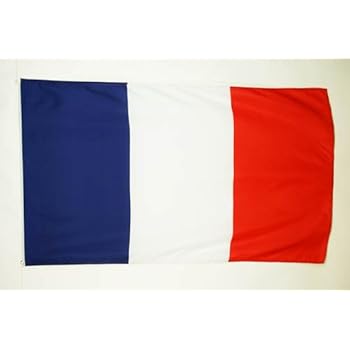 Amazon.com : AZ FLAG French Department of The Vendée Flag 3' x 5 ...