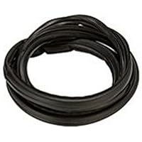 Amazon.com: Toyota Genuine 68163-35041 Door Weatherstrip : Automotive