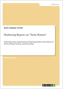 Marketing Report on Tesla Motors: Marketing Audit, Segmentation ...