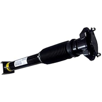 Amazon.com: AIRSUSFAT Rear Right Left Air Shock Absorber For Mercedes ...