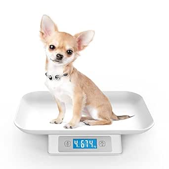 Amazon.com: Digital Pet Scale for Small Animal, Accuracy 1g, Measuring ...