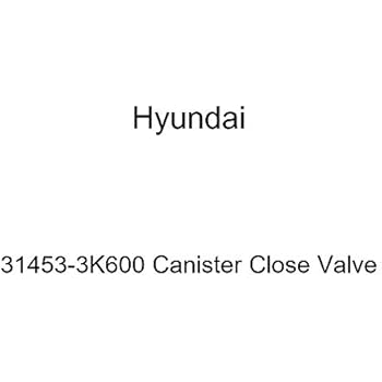 Amazon.com: Genuine Hyundai 31453-3K600 Canister Close Valve: Automotive