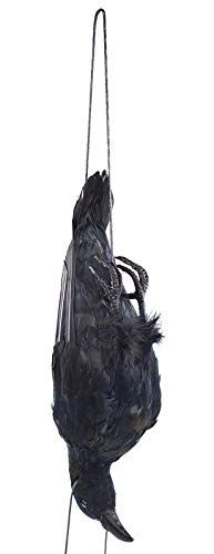 17 inch Realistic Hanging Dead Crows Decoy Lifesize Extra Large Black ...