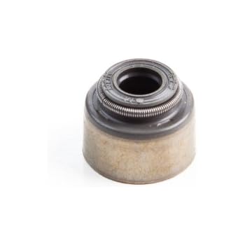 Amazon.com : Briggs & Stratton 690968 Valve Seal Replaces 499236 ...
