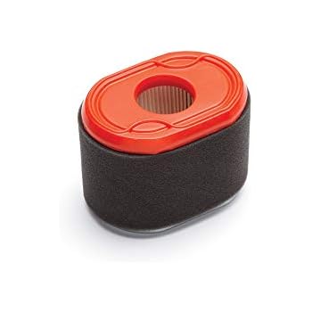 Amazon.com: Briggs & Stratton 796970 Air Cleaner Cartridge Filter ...