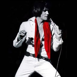 imagenation Elvis Presley - Elvis Red Scarf Iconic Music Artwork ...