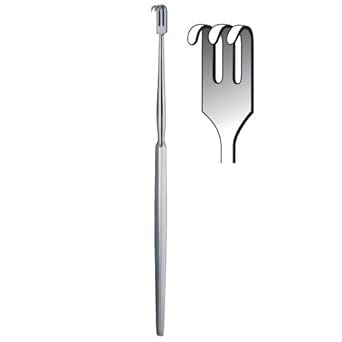 Amazon.com: Rake Retractor, Blunt, 3 Prong, 16cm/6.25": Industrial ...