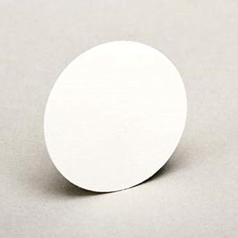 MSA 710917 Hydrophobic Probe Filter, White, Standard: Safety Equipment ...