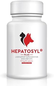 Hepatosyl Plus Capsules 100mg (30 Capsules): Amazon.co.uk: Pet Supplies