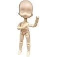 Amazon.com: AHOHOS Body Kun Doll for Artists, Body-Chan DX PVC Model ...