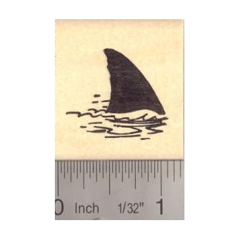 Amazon.com: Whale Shark Rubber Stamp Australian Reef Fish: Arts, Crafts ...