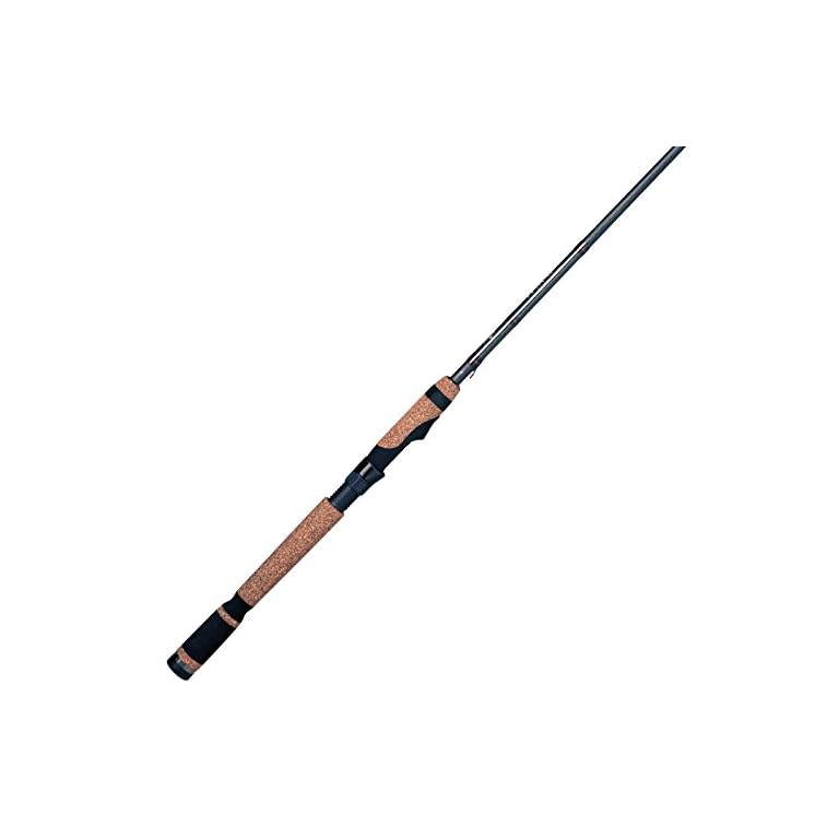 Fenwick HMG Spinning Rods - MasterBasser