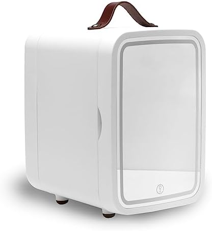 Mini Fridge, Refrigerator with Remote Control & Temperature Panel, 8L ...