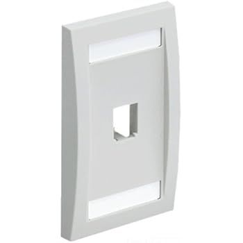 Amazon.com: Panduit CFPE1WHY 1-Gang 1-Port Faceplate, White: Industrial ...