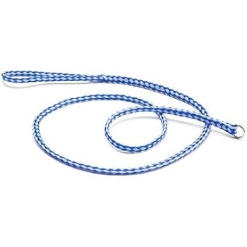 Amazon.com : 6 Pcs Bulk Pack Slip Leads Dog Pet Grooming Kennel Animal ...