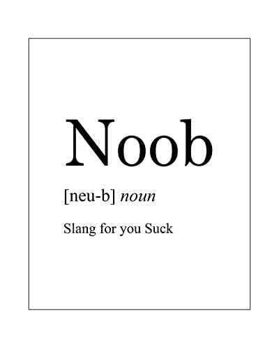 Amazon.com: Noob Definition - Slang for you Suck - Wall Decor Art Print ...