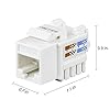 iwillink Cat6 Keystone Jack RJ45 Keystone Jack 25-Pack, UTP Modular ...