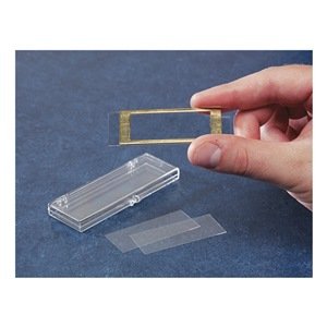 Wildco 1801-G20 Gridded Sedwick Rafter Counting Cell: Amazon.com ...