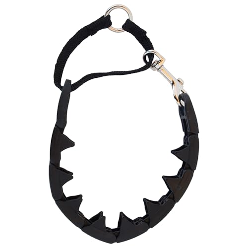 The Best Pinch Collar For Dogs In 2024 - Dogtime