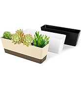 Amazon.com : Flower Boxes, GREANER 3 Pack 12x3.8 Inch Rectangle Window ...