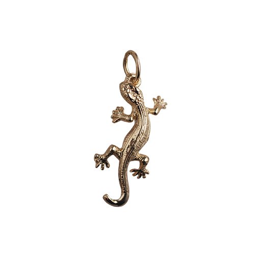 9ct Gold 26x13mm Lizard Pendant or Charm: Amazon.co.uk: Jewellery