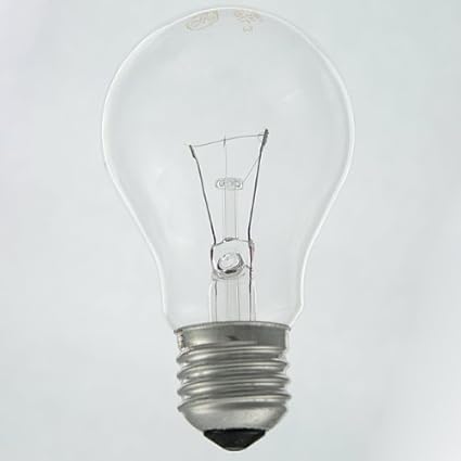 100 Watt ES Clear Standard Light Bulbs: Amazon.co.uk: Kitchen & Home