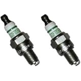 Amazon.com : (Pack of 2) Champion DJ8J Spark Plugs Replaces NGK BM6F ...