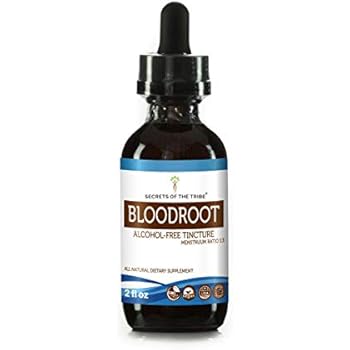 Amazon.com: Bloodroot Tincture Alcohol-Free Extract, Responsibly farmed ...