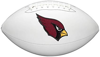 Wilson NFL Logo Autograph Football – starkidslearn.com