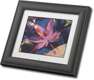 Amazon.com : Insignia 8" Digital Picture Frame NS-DPF8 : Camera & Photo