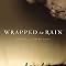 Amazon.com: Wrapped in Rain: A Novel: 9781401685249: Martin, Charles: Books