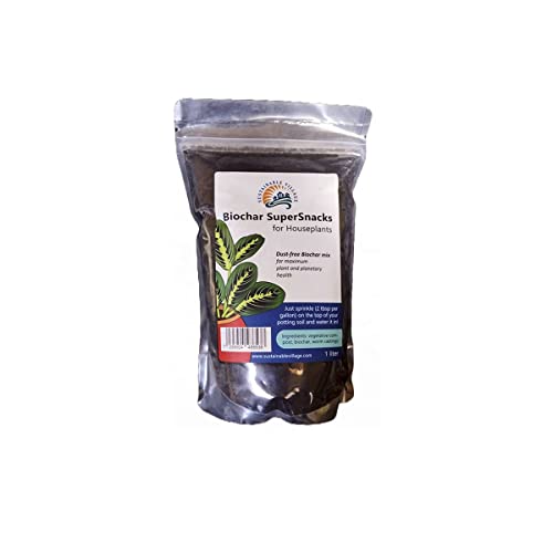 Biochar SuperSnacks for Houseplants | Plant Potting Mix | Soil Enhancer ...