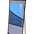 Amazon.com: Signworld 4-Pocket Mesh Floor Standing Portable Literature ...