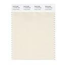 PANTONE Smart 11-0105X Color Swatch Card, Antique White - House Paint ...