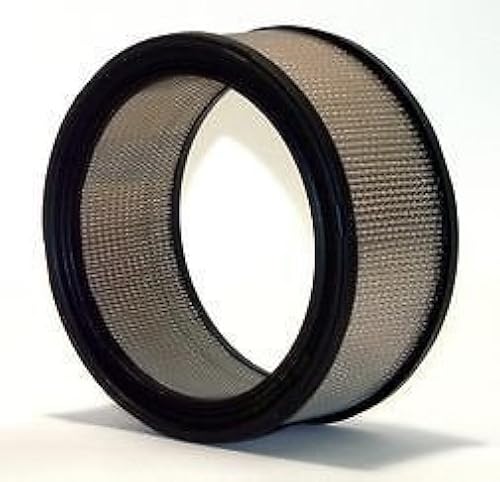 2444 NAPA Gold Air Filter in Kenya | Whizz