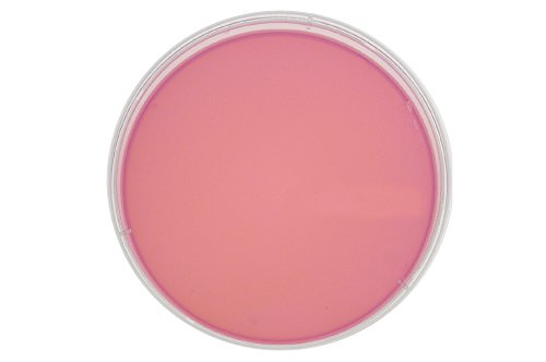 Hardy Diagnostics G36 Macconkey Agar with Sorbitol (Smac) for E. Coli ...