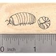 Amazon.com: Pill Bug Rubber Stamp, Roly Poly, Potato Bug, Sow Bug ...