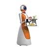 AI Humanoid Intelligent Robots Restaurant Waitress Food delivery Robot ...