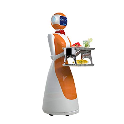 AI Humanoid Intelligent Robots Restaurant Waitress Food delivery Robot ...