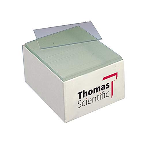 Slides Kuwait | Buy Online | Whizz Slides