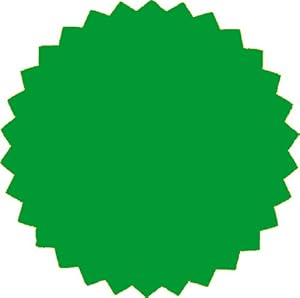 Amazon.com : Blank Certificate Seal - Green : Paper Stationery Envelope ...