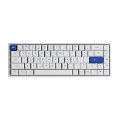 Akko Blue on White 3068B Plus Hot-swappable Mechanical Gaming Keyboard ...