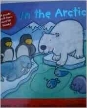 In the Arctic: Igloo: 9781848173002: Amazon.com: Books