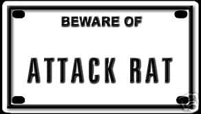 Amazon.com: Beware of Attack Rat 2 1/4 X 4" Embossed Aluminum Sign ...